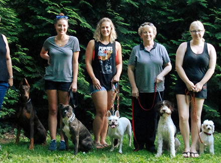 Group Dog Training Classes | Leash Free Living